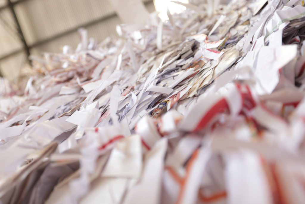 Reciclagem de Papel - Eco Primos